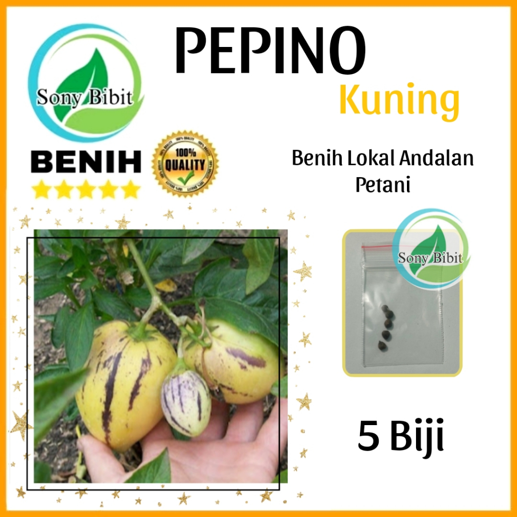 Jual Benih Buah Pepino Unggulan Petani Kemasan Ekonomis | Shopee Indonesia