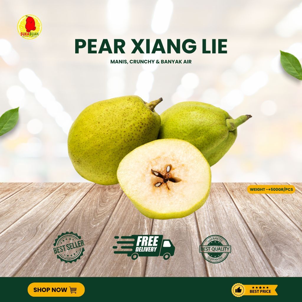 Jual FRESH PEAR XIANG LIE 1KG - SUKABUAH | Shopee Indonesia