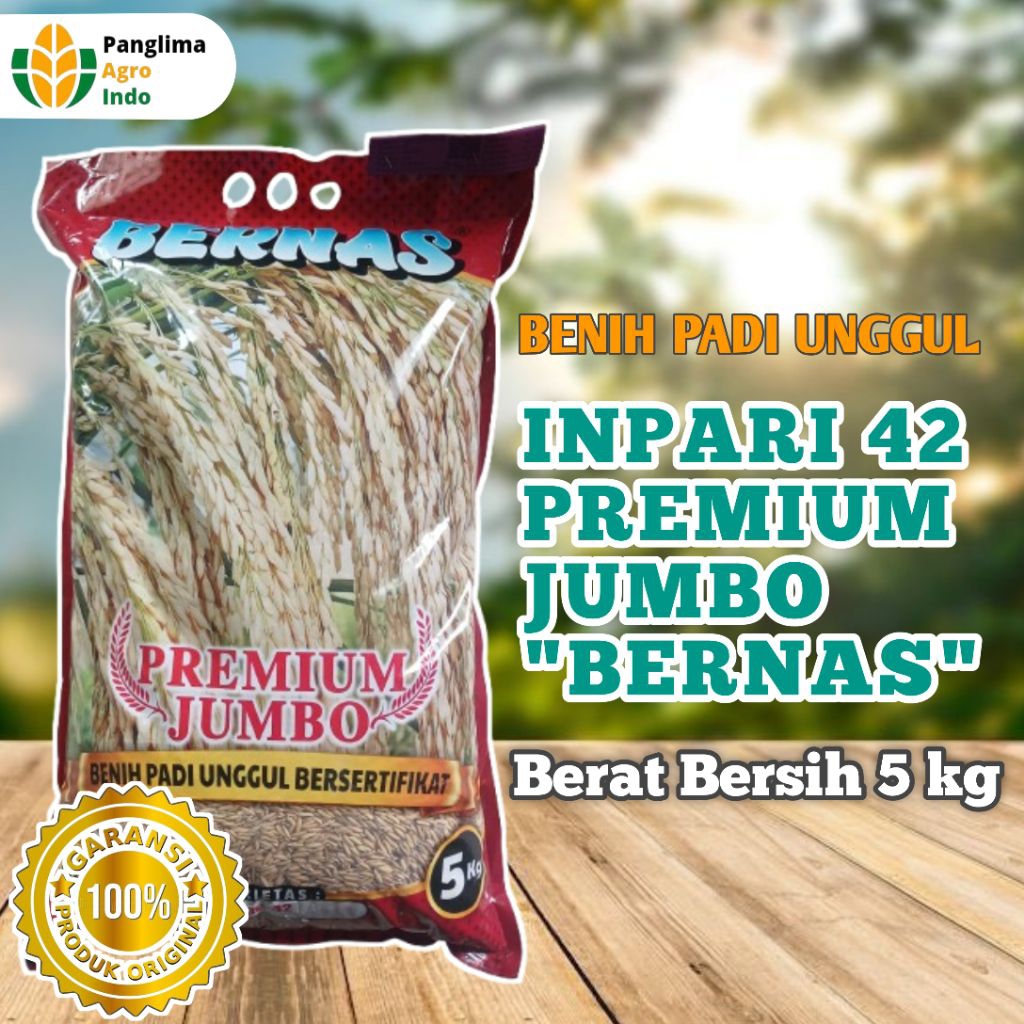 Jual Benih Padi Unggul Inpari 42 Premium Jumbo "Bernas" (Berat Bersih 5 ...