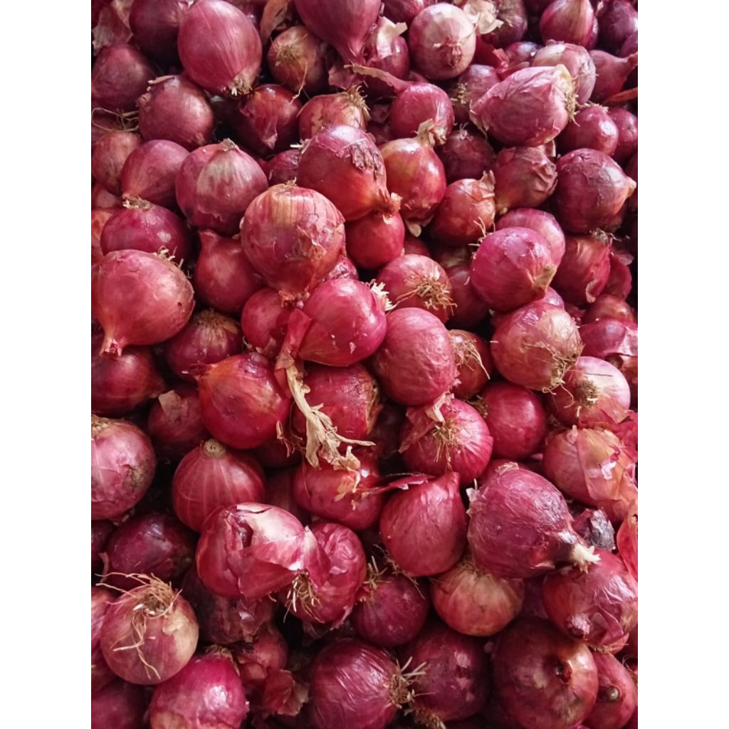Jual bawang merah besar 1kg | Shopee Indonesia
