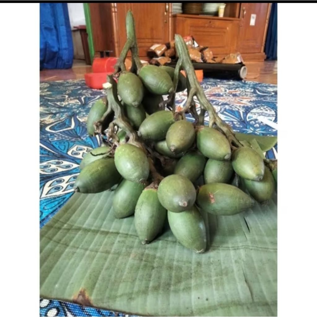 Jual Buah Pinang Muda/Jambe Muda isi 20 | Shopee Indonesia