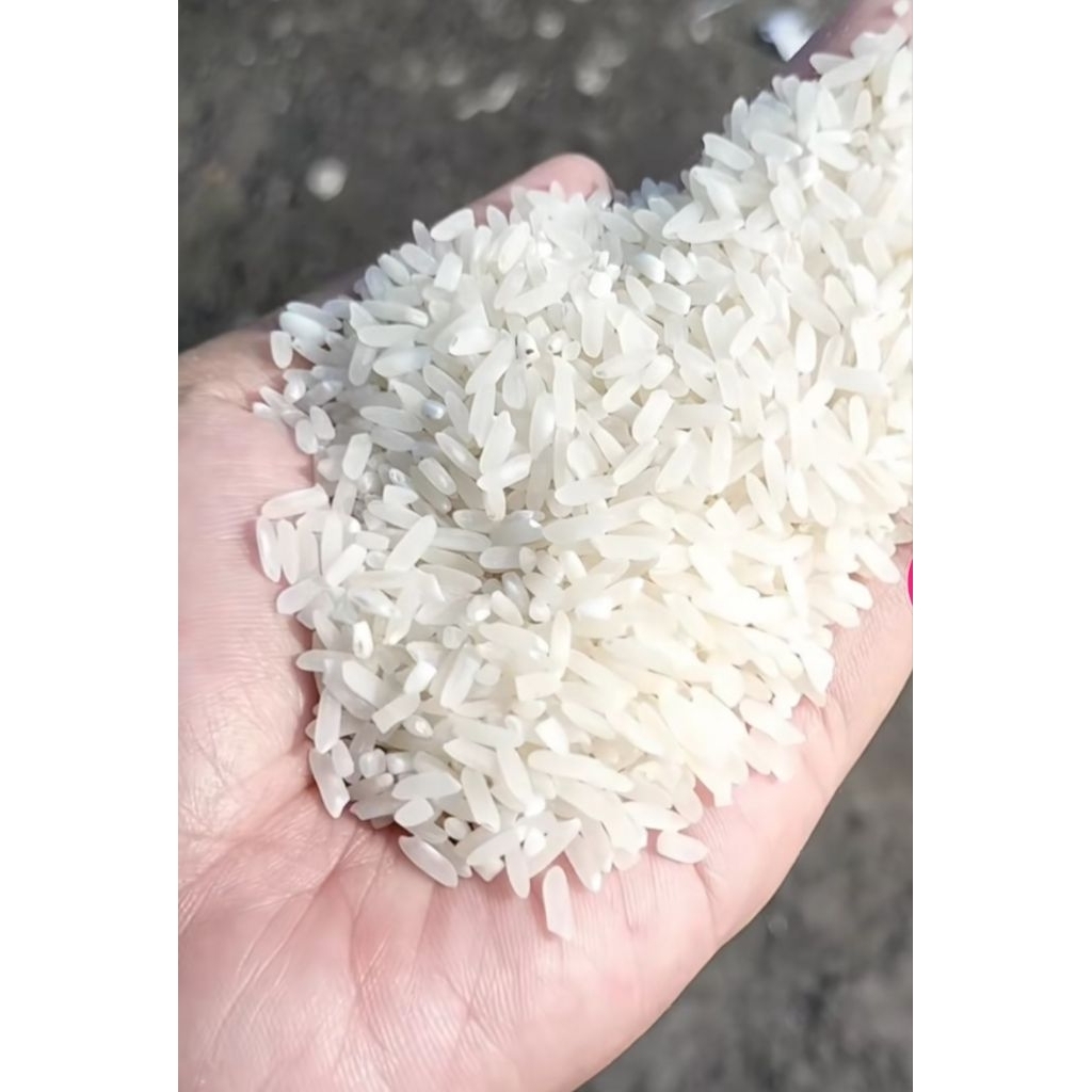 Jual BERAS SELEPAN/BERAS DESO LANGSUNG DARI PETANI TANPA PEMUTIH 25 kg ...