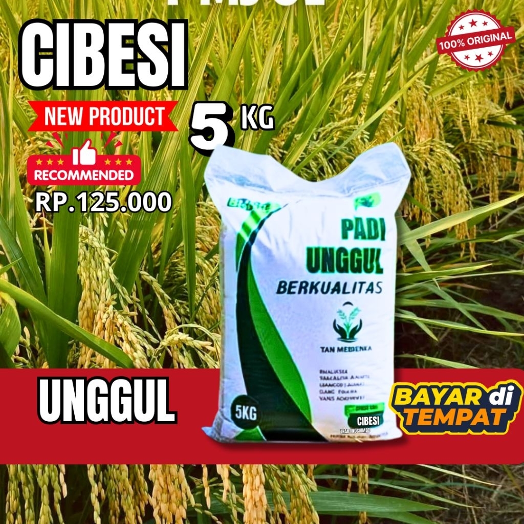 Jual benih padi berkualitas tinggi benih padi CIBESI 5kg | Shopee Indonesia