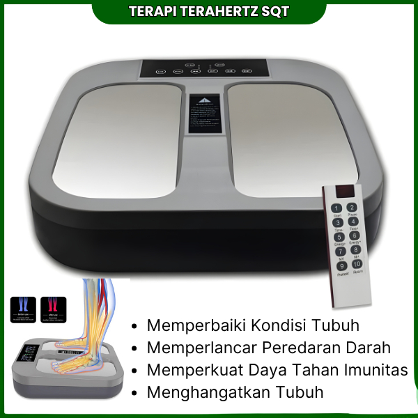 Jual Terapi Kaki Terahertz Gelombang Elektromagnetik Olylife P90 ...