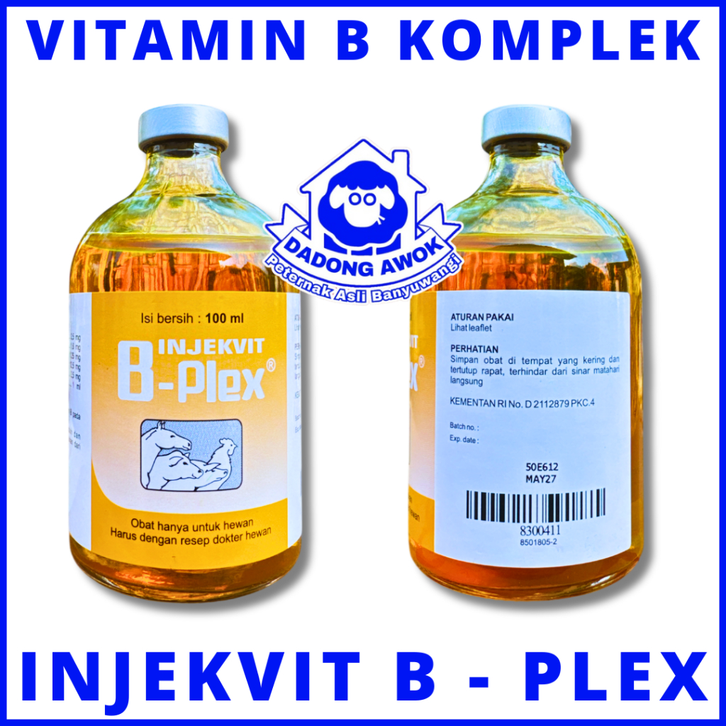Jual B KOMPLEK - INJEKVIT B PLEX 100 ml | VITAMIN B KOMPLEKS 100 ml ...