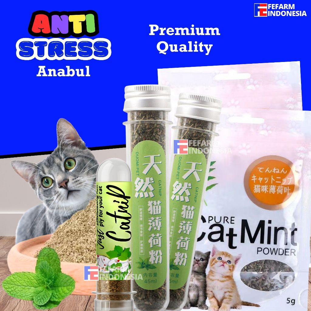 Jual Catnip Camilan Kucing All Varian Catmint Menthol Snack Makanan Cat ...
