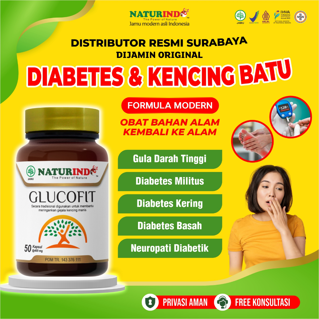Jual Obat Herbal Diabetes Diabet Penurun Kadar Gula Darah Tinggi Herbal ...