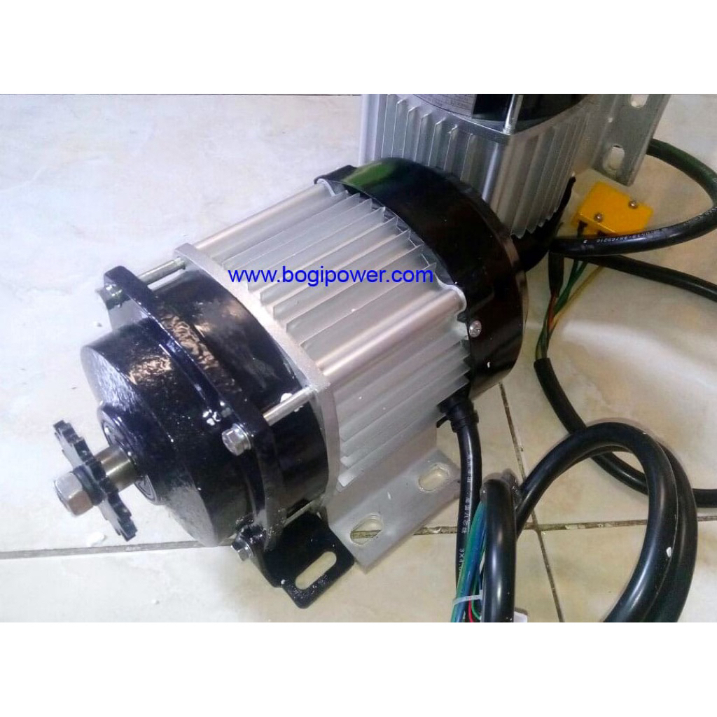 Jual Motor Listrik BLDC poros tengah 48V 1000W mobil listrik gokart ...