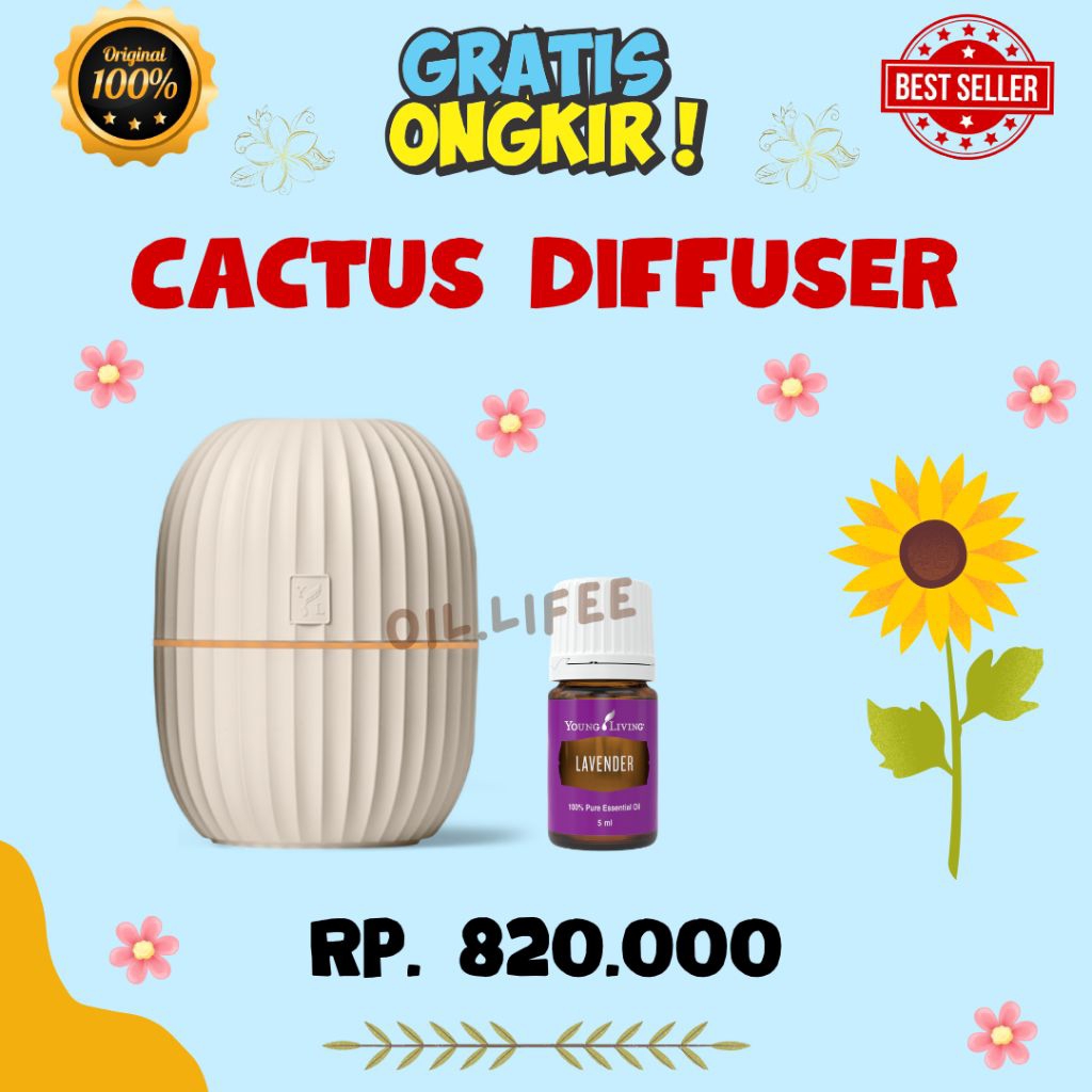 Jual DIFFUSER CACTUS DENGAN OIL LAVENDER 5 ML ORIGINAL HUMIDIFIER AROMA TERAPI YOUNG LIVING ...