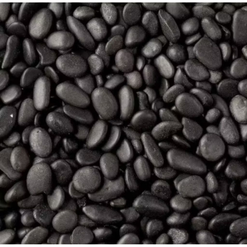 Jual Batu koral hitam - batu taman - batu hiasan 1kg | Shopee Indonesia