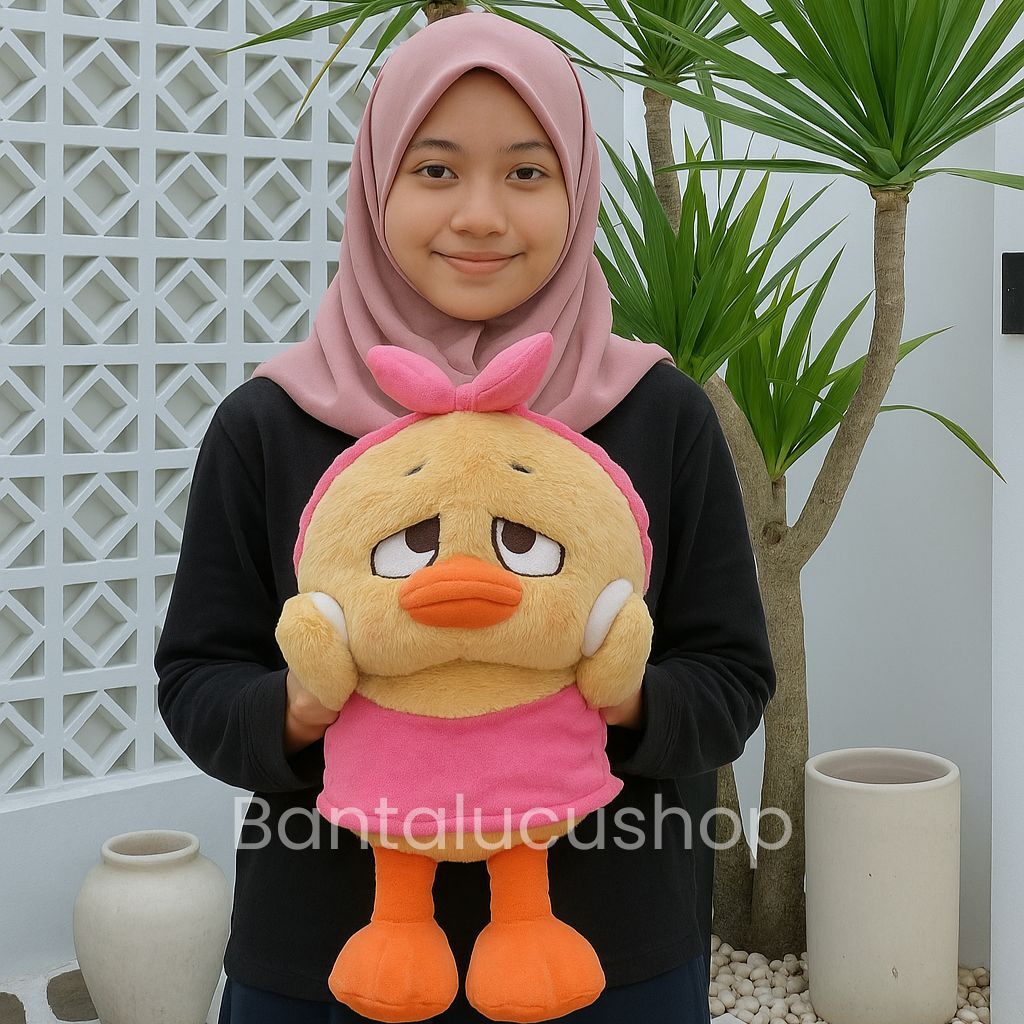 Jual Boneka Bebek Sad Eye 45cm – Duck Plush Premium Bahan Lembut ...