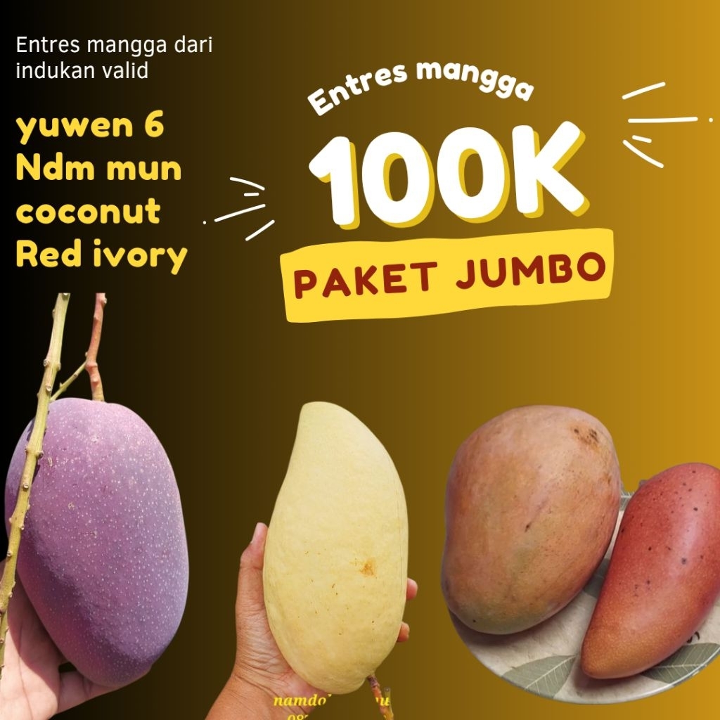 Jual entres mangga yuwen, namdocmay mun, coconut pakistan, red ivory ...