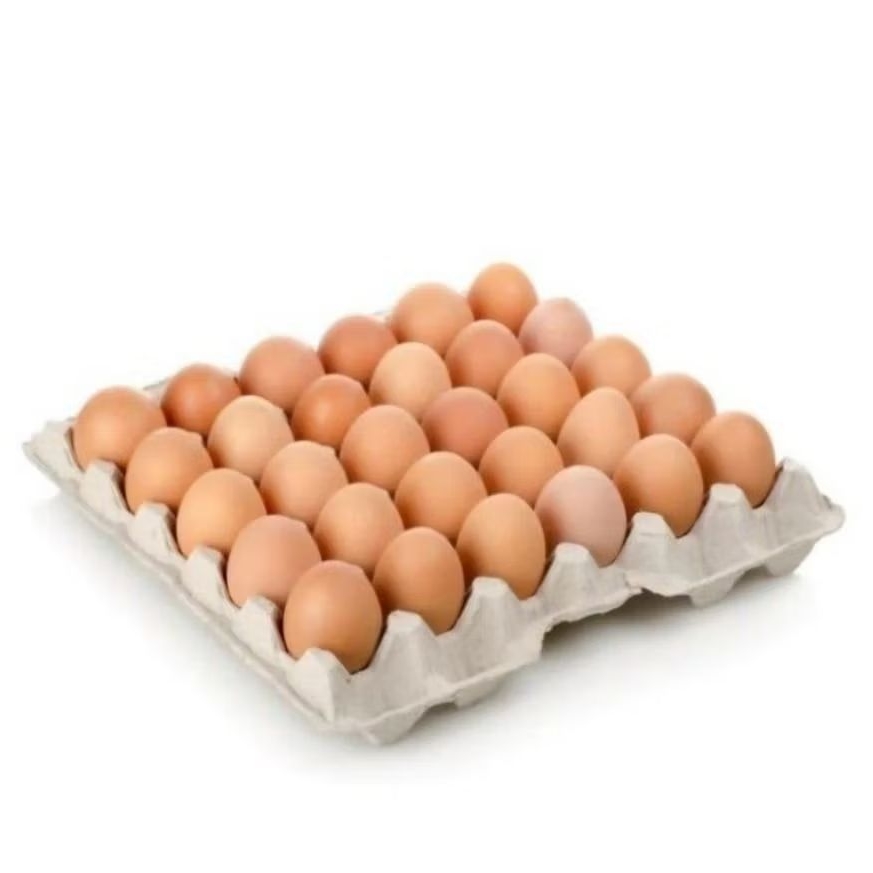 Jual Paket Telur Ayam Negeri Segar | Shopee Indonesia