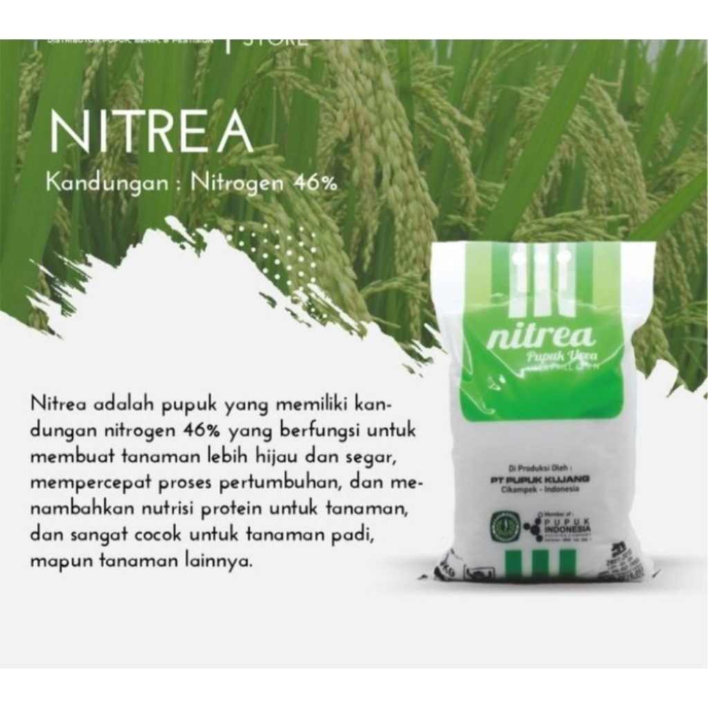 Jual 80 gram Pupuk UREA NITREA N 46%,siap digunakan | Shopee Indonesia
