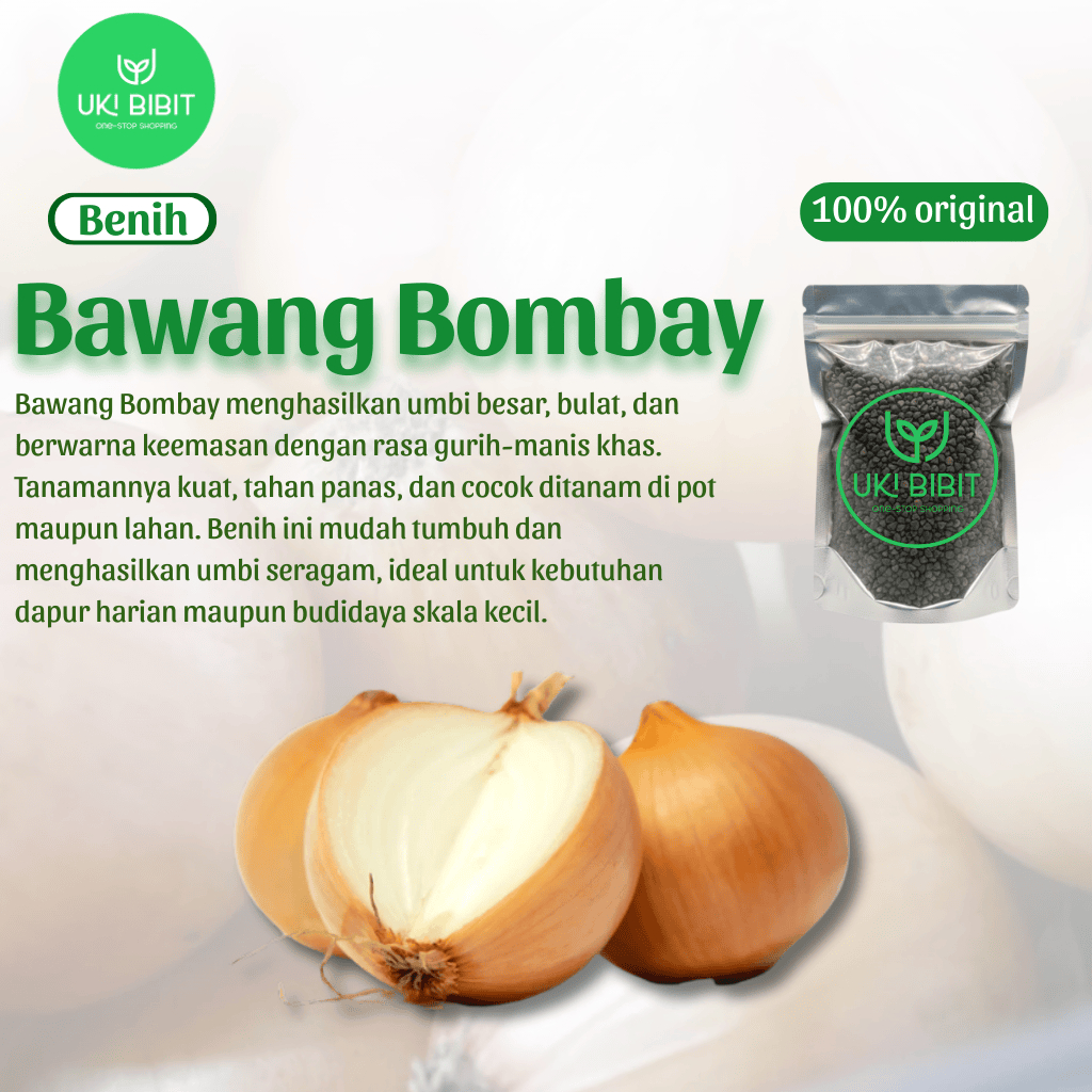 Jual ( 10 Butir ) Benih Biji Bawang Bombay | Onion Yellow Sweet Spanish ...