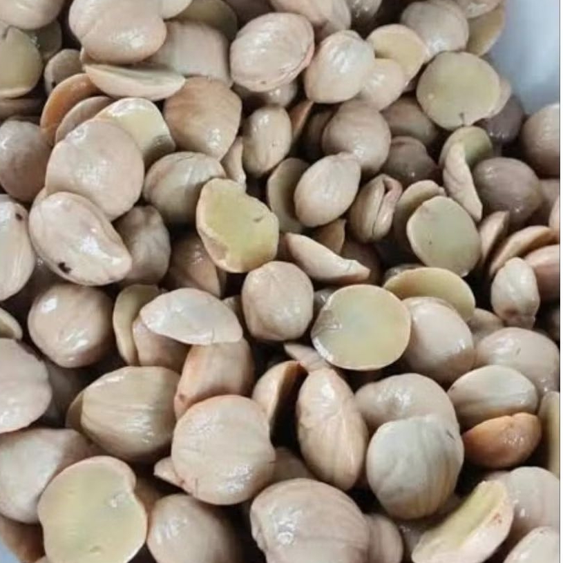 Jual jengkol tua Rebus // jengkol godok 500g | Shopee Indonesia