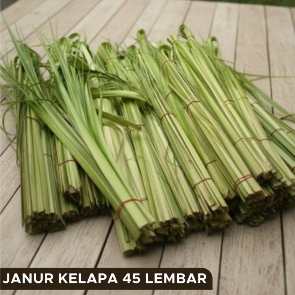 Jual Janur Kelapa Segar 45 Lembar – Bahan Ketupat dan Anyaman ...
