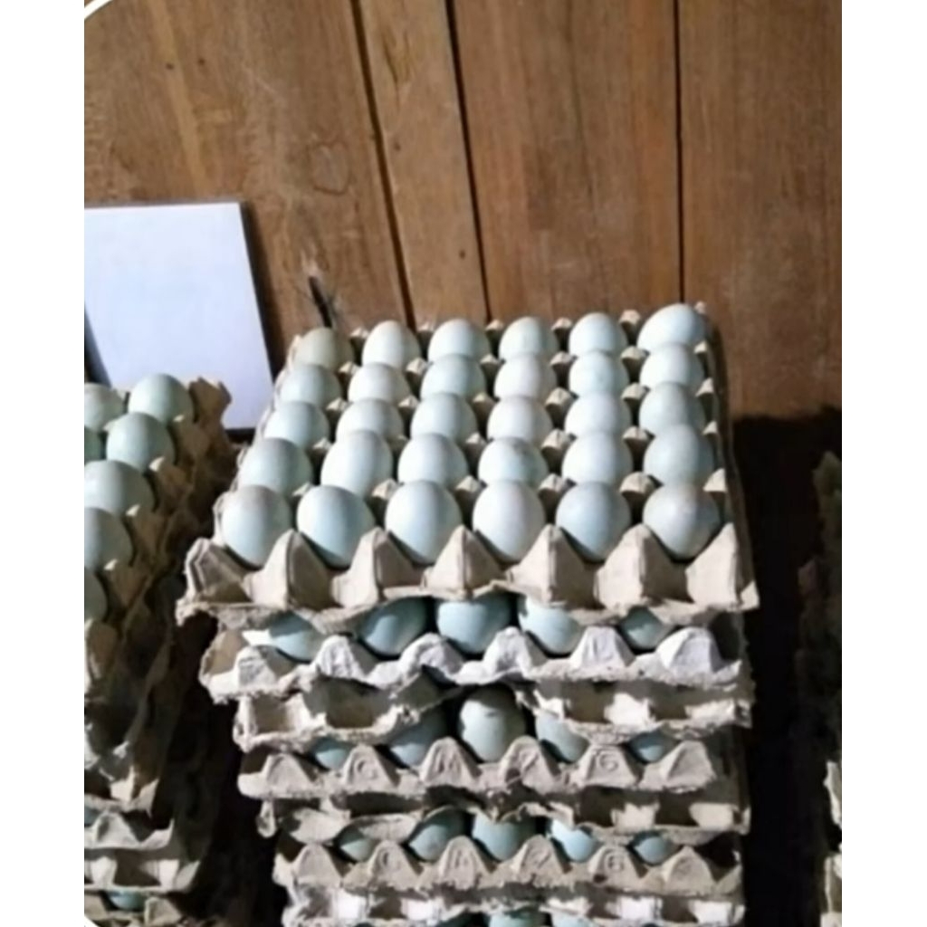 Jual Telur Bebek Dalam Negeri Segar Berkualitas 1 Krat isi 30 Butir ...