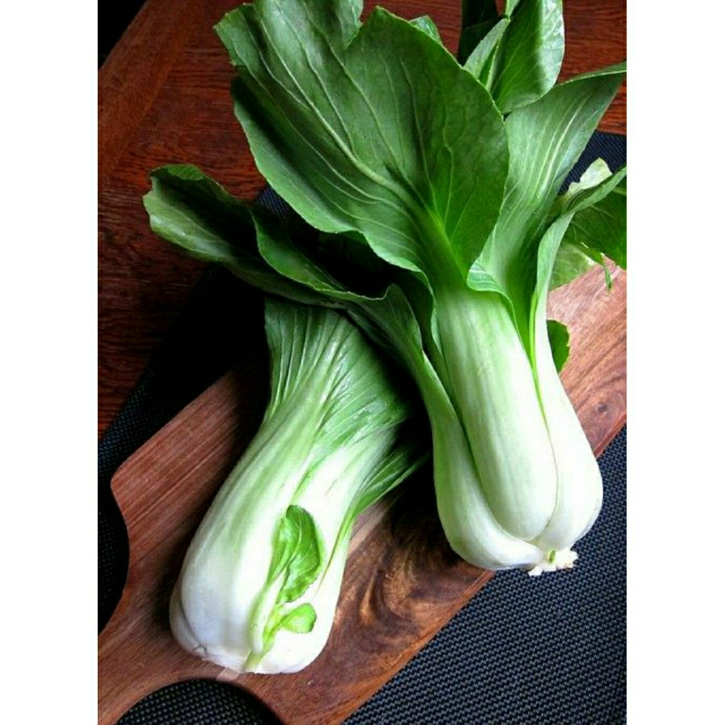 Jual PAKCOY FRESH SEGAR 1kg | Shopee Indonesia