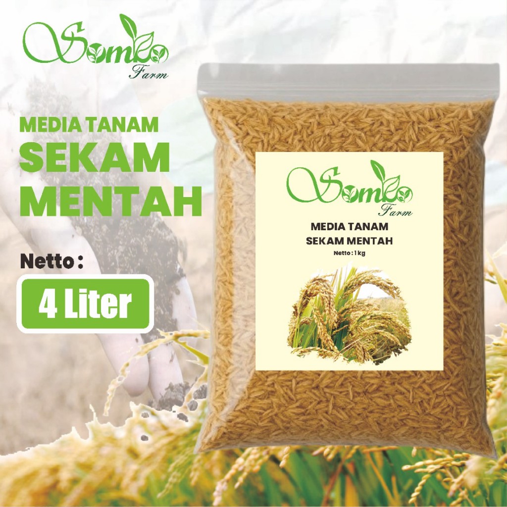 Jual Sombo Farm - Sekam Mentah 4 Liter – Cocok untuk Semua Tanaman ...