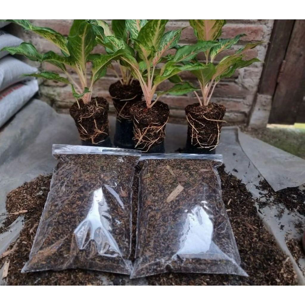 Jual media tanam super premium hasil fermentasi | Shopee Indonesia