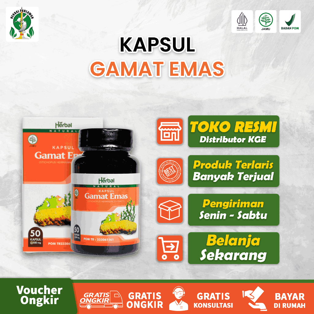Jual Obat Herbal Kapsul Gamat Emas - Ekstrak Gamat Emas Kapsul ...