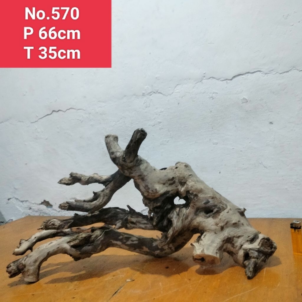 Jual bonggolan akar santigi laut kayu dekorasi aquascape aquarium 570 ...