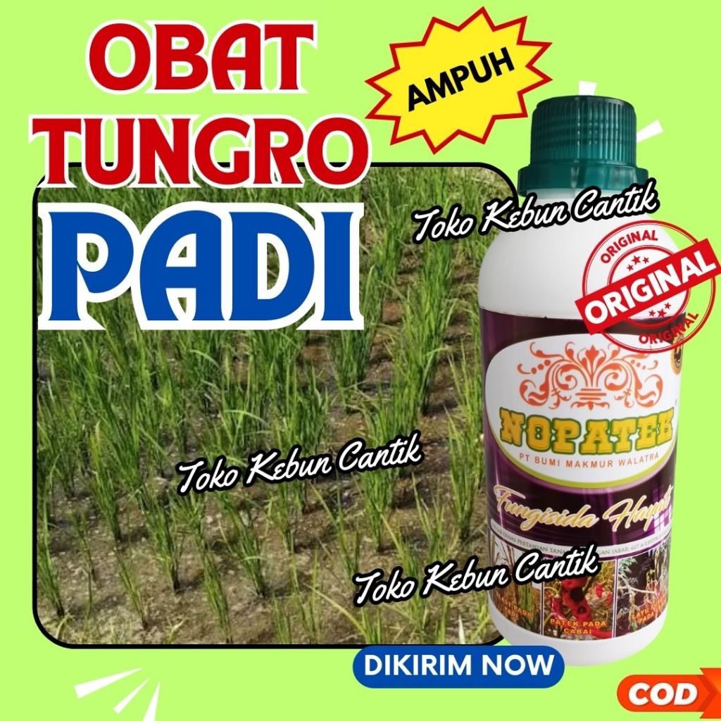 Jual Obat Padi Menguning Blast Tungro NOPATEK 500ml | Shopee Indonesia