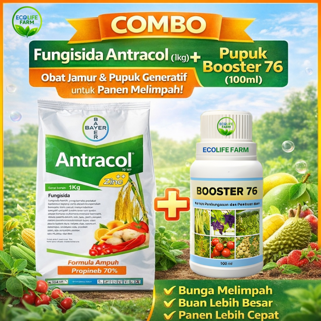 Jual Combo Fungisida Antracol 70 WP 1kg + Pupuk Booster 76 100ml ...