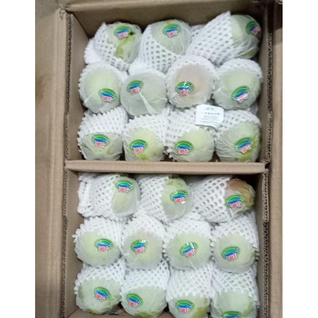 Jual Indukbuah Buah Pir xiangli Pear xiang lie 1 dus ±7kg | Shopee ...