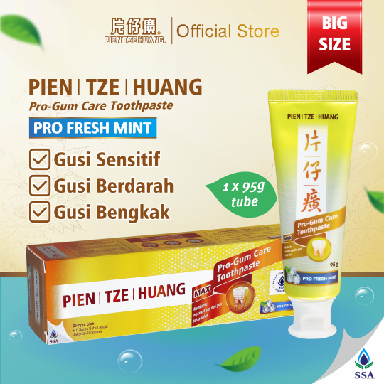 Jual PIEN TZE HUANG Pro-Gum Care Toothpaste (Pro Fresh Mint) 95 g ...
