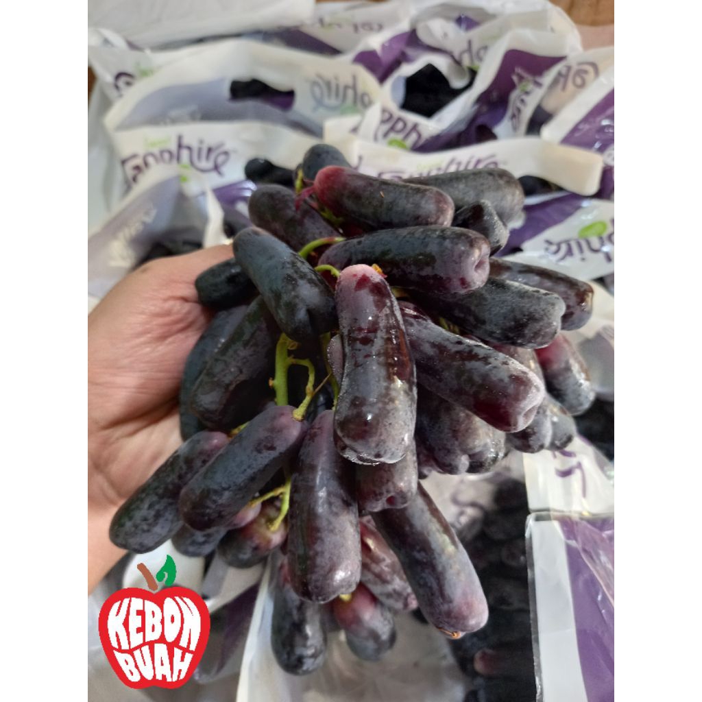 Jual Anggur Jari Terlengkap & Harga Terbaru Mei 2026 | Shopee Indonesia
