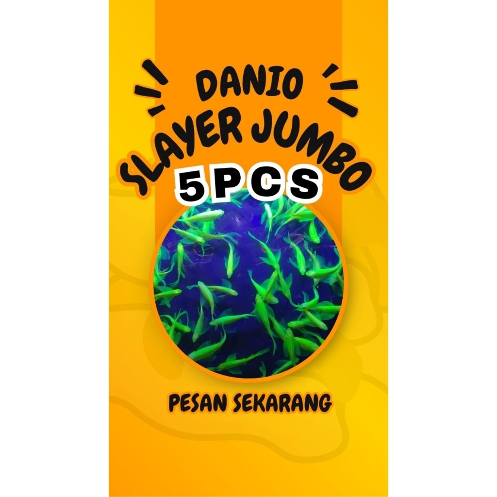 Jual Paket Isi Danio Slayer Hijau Jumbo | Shopee Indonesia