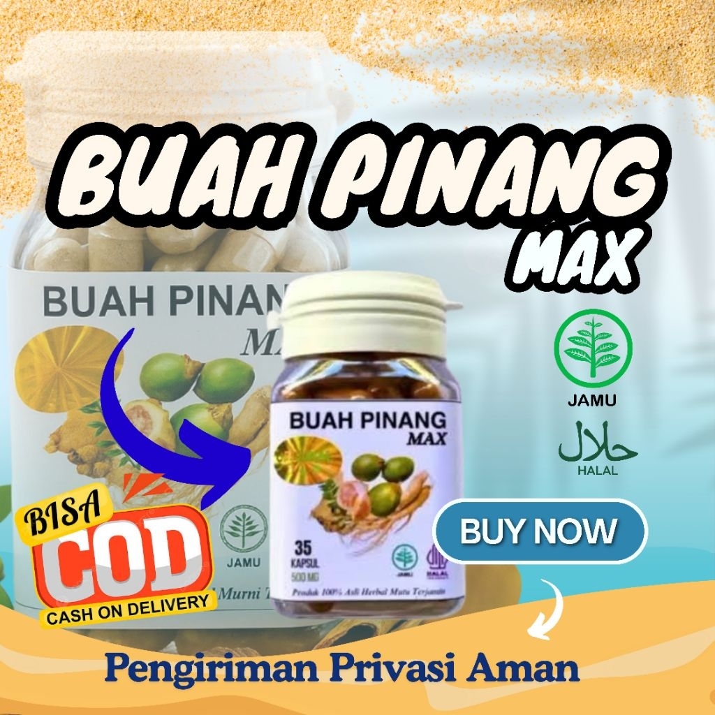 Jual Buah Pinang Muda Original isi 35 Khasiatnya Ampuh Tidak Kaleng ...
