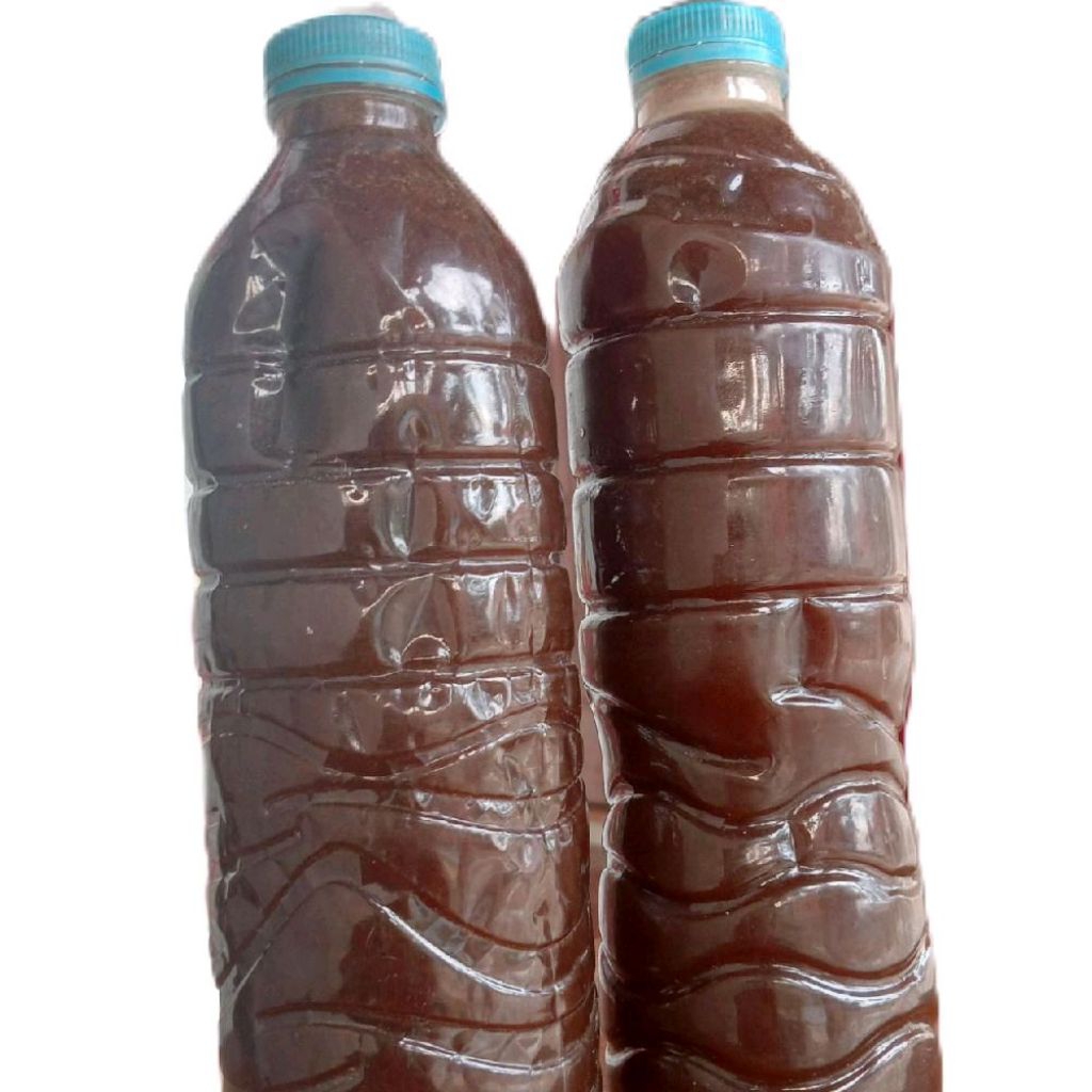 Jual Gula merah siwalan cair khas Madura Sumenep kemasan 600 ml (-+850 ...