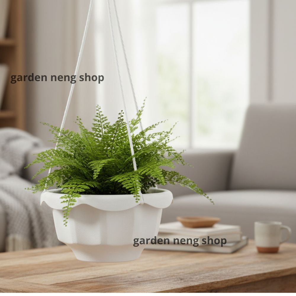 Jual Pot Gantung dahlia putih cantik -pot gantung murah grosir-pot ...