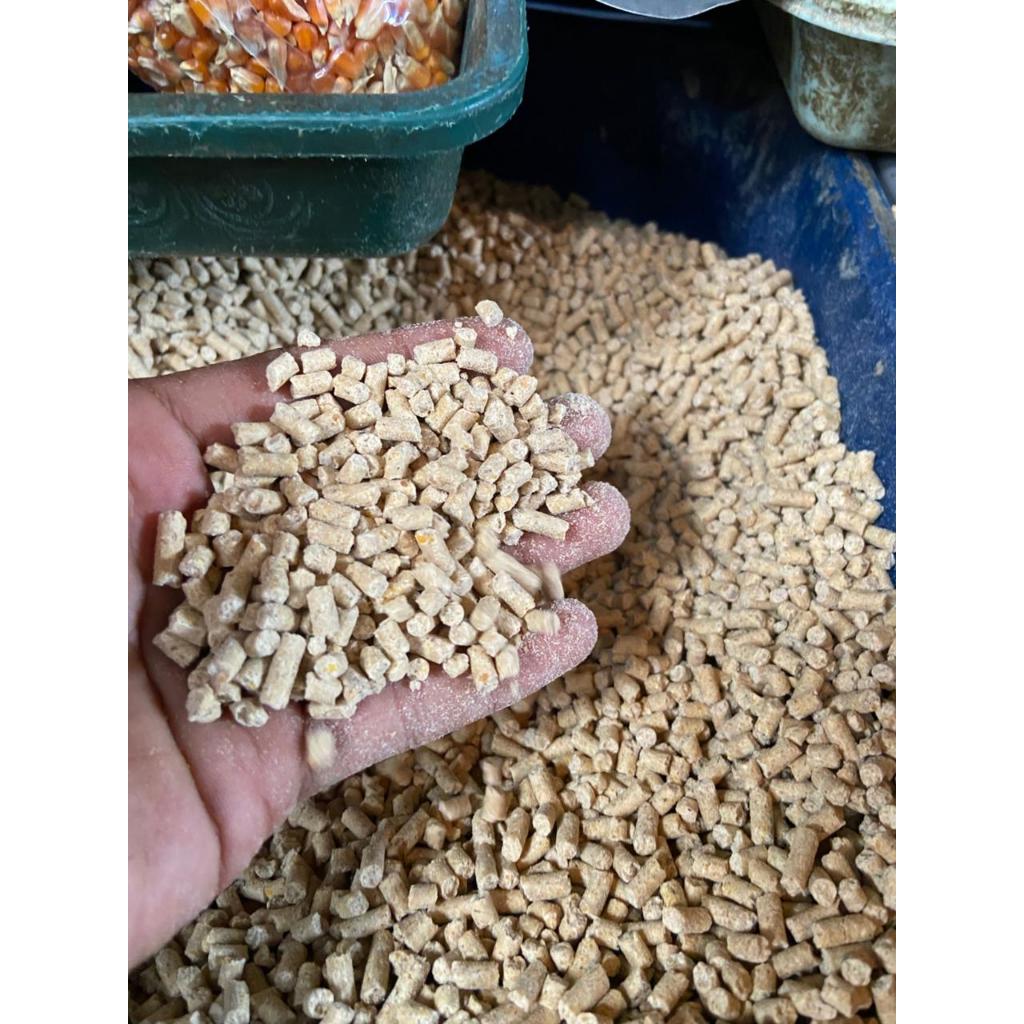 Jual pakan ayam po2 pur babi 1 kg | Shopee Indonesia