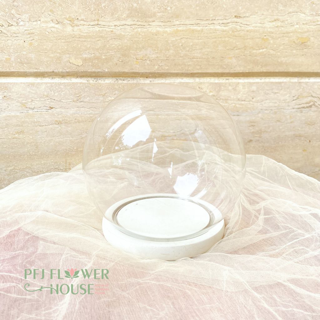Jual Dome Bunga / Dome Kaca / Glass Dome | Shopee Indonesia