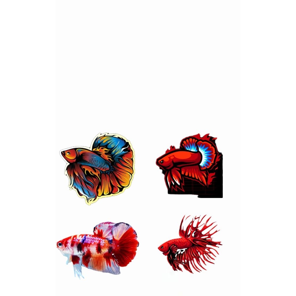 Jual stiker PAKET LENGKAP 4 VARIAN ( HALFMOOND+PLAKAT+CROWTAIL/SERIT ...