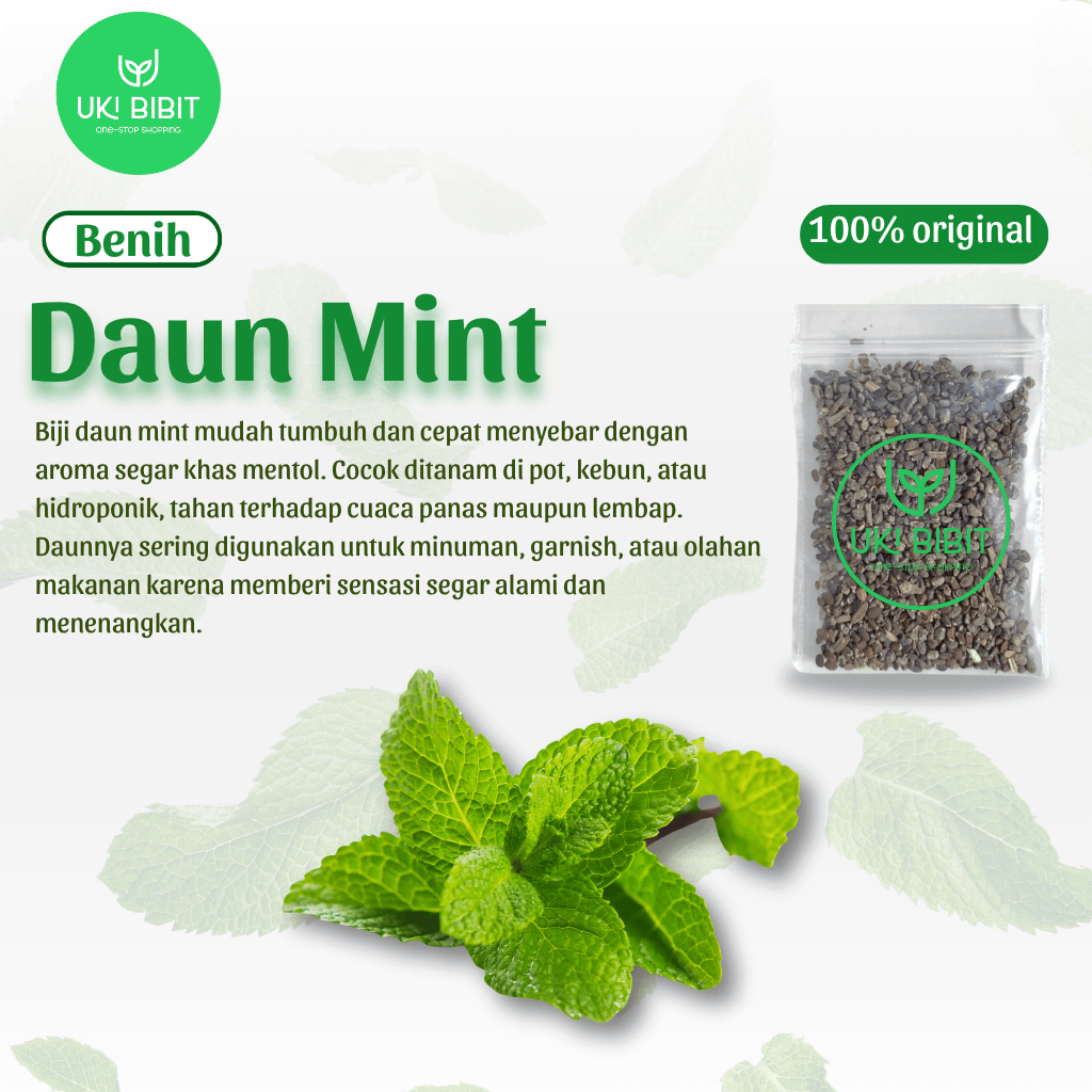 Jual ( 100 Butir ) Benih Biji Daun Mint | Mentha | Daun Pappermint ...
