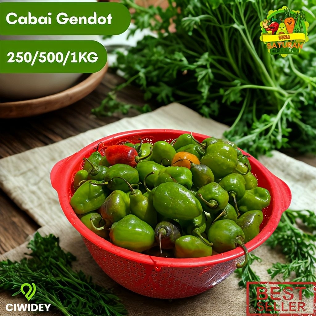 Jual Cabe Gendot Segar 1kg Bandung – Cabai Bendot Gembor Fresh Baru ...