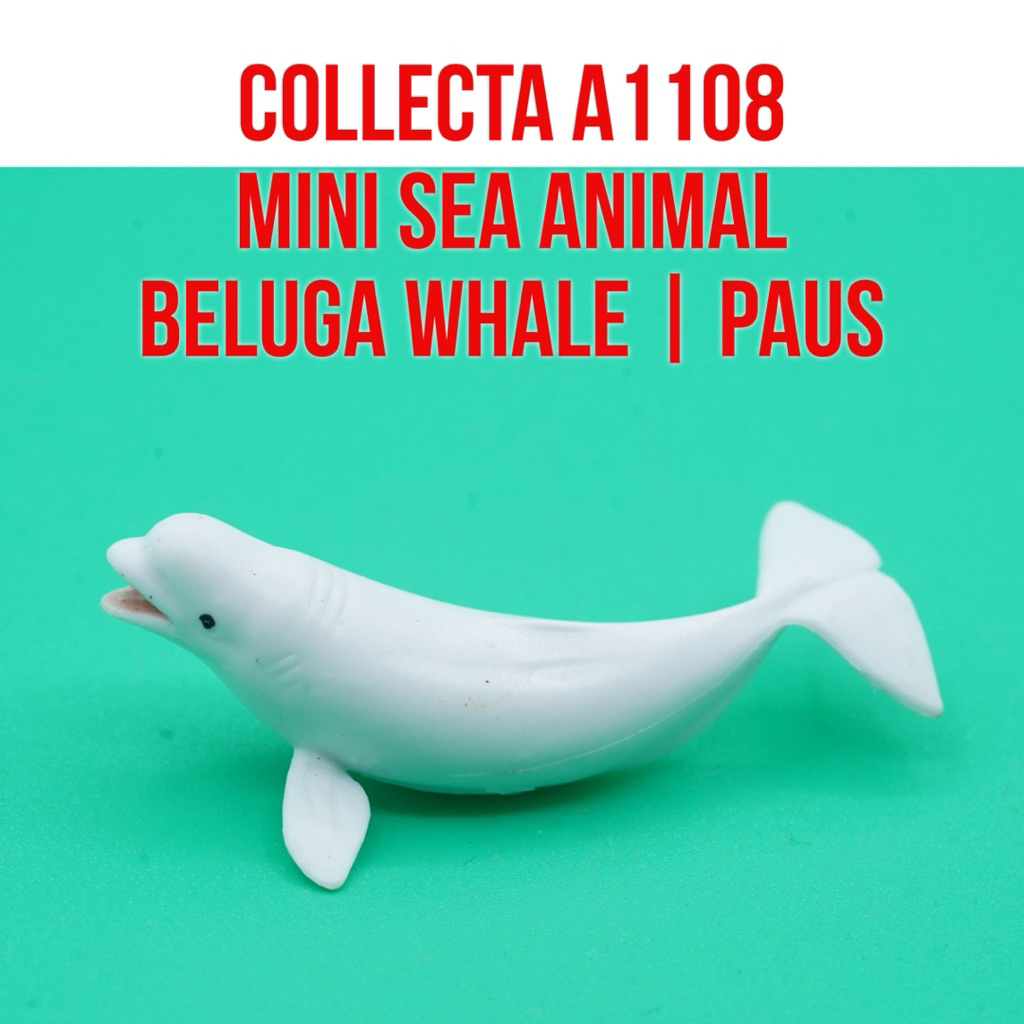 Jual Collecta A1108 Mini Sea Animals | Beluga Whale Paus Beluga Paus ...