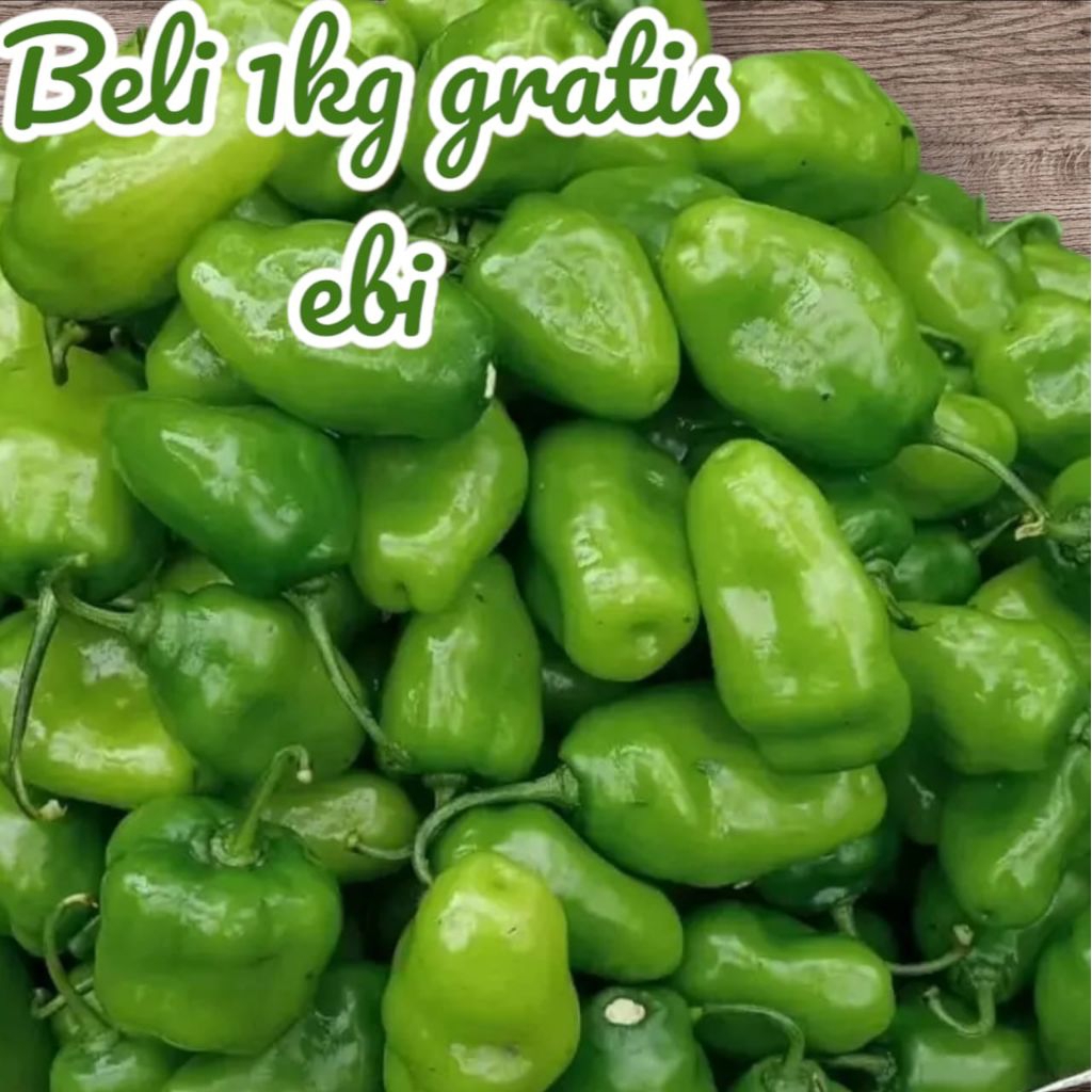 Jual Cabe Gendot 1kg gratis ebi Segar Bandung /Cabe Gendot Fresh ...