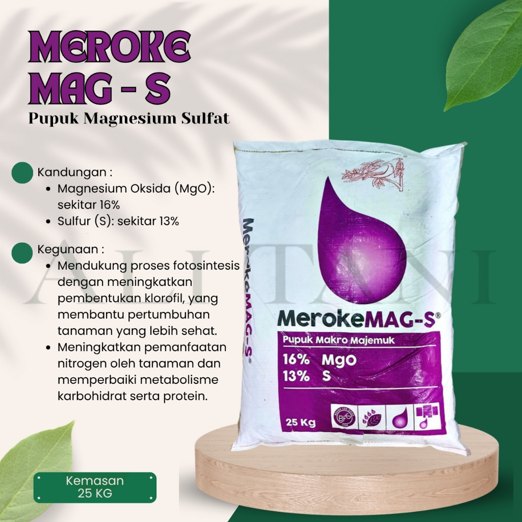 Jual (25 KG) MAG-S Pupuk Magnesium Sulfat Bahan Nutrisi Hidroponik ...