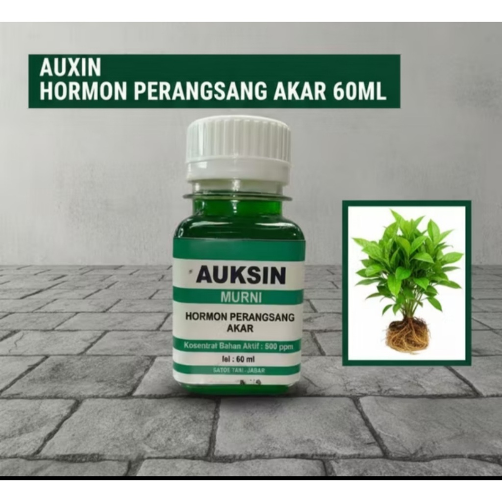 Jual AUXIN AUKSIN HORMON PERANGSANG AKAR MURNI 60 ML/ CAIRAN PERANGSANG ...