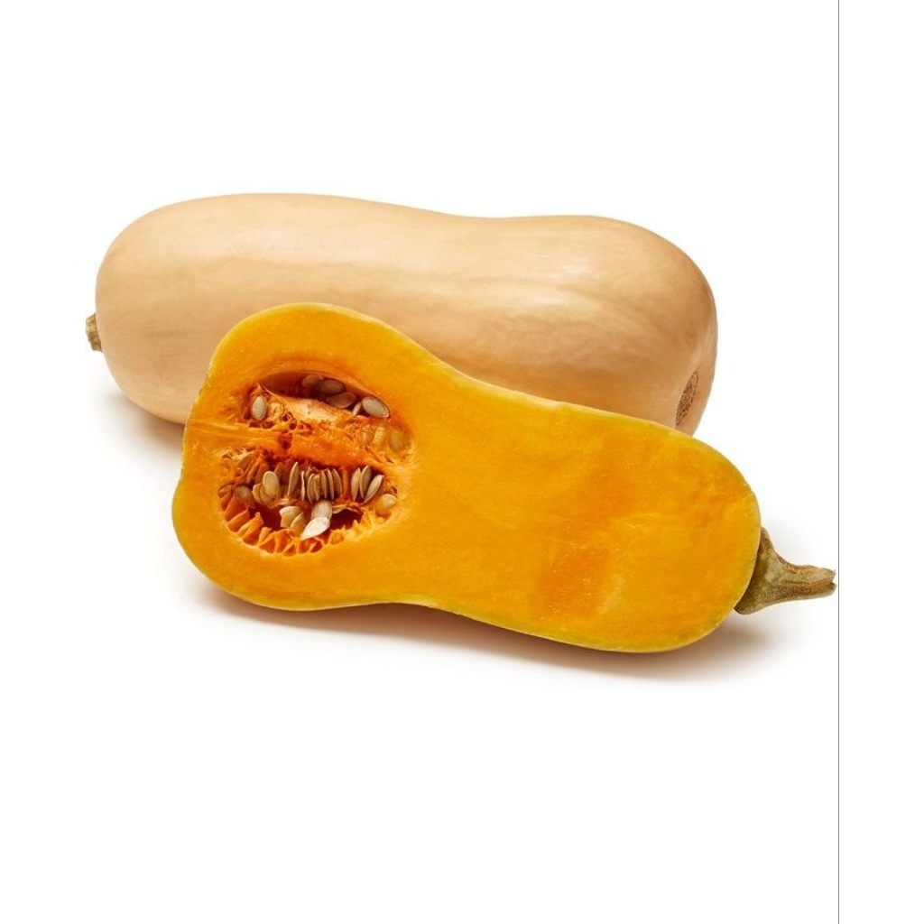 Jual 1 BUAH LABU MADU MENTEGA BUTTERNUT JUAL LABU MADU MALANG MURAH ...