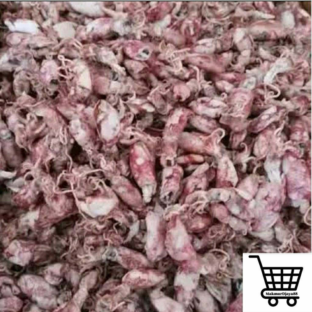 Jual IKAN ASIN CUMI SOTONG/CUMI REBUS 250 gr | Shopee Indonesia