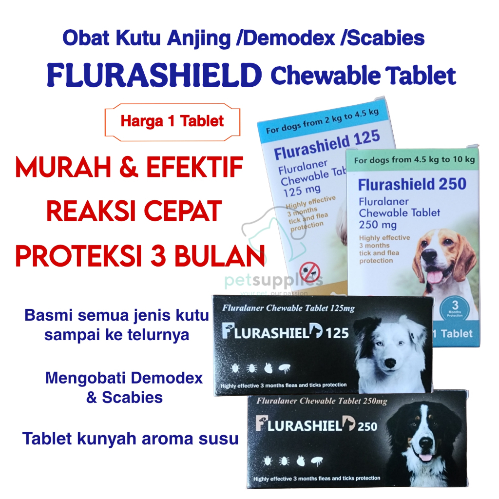 Jual Obat Kutu Anjing Demodex Scabies FLURASHIELD Proteksi 3 Bulan ...