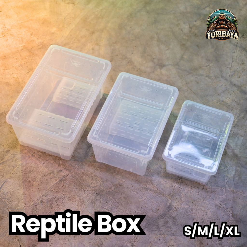 Jual Box Kandang Katak Pacman / Reptile Box / Packing Kura Air | Shopee ...