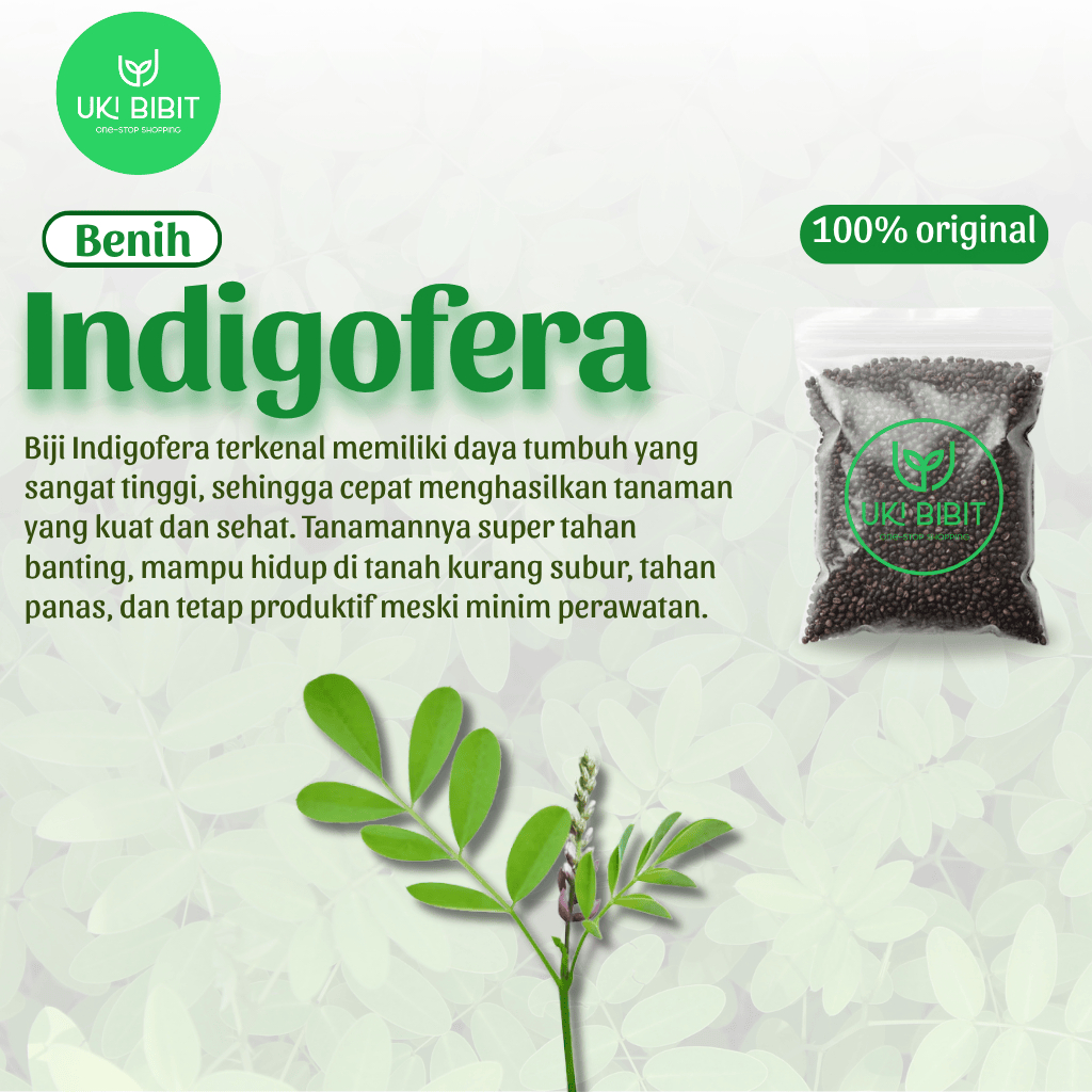Jual ( 80 Butir ) Benih Biji Indigofera Pakan Ternak | Shopee Indonesia